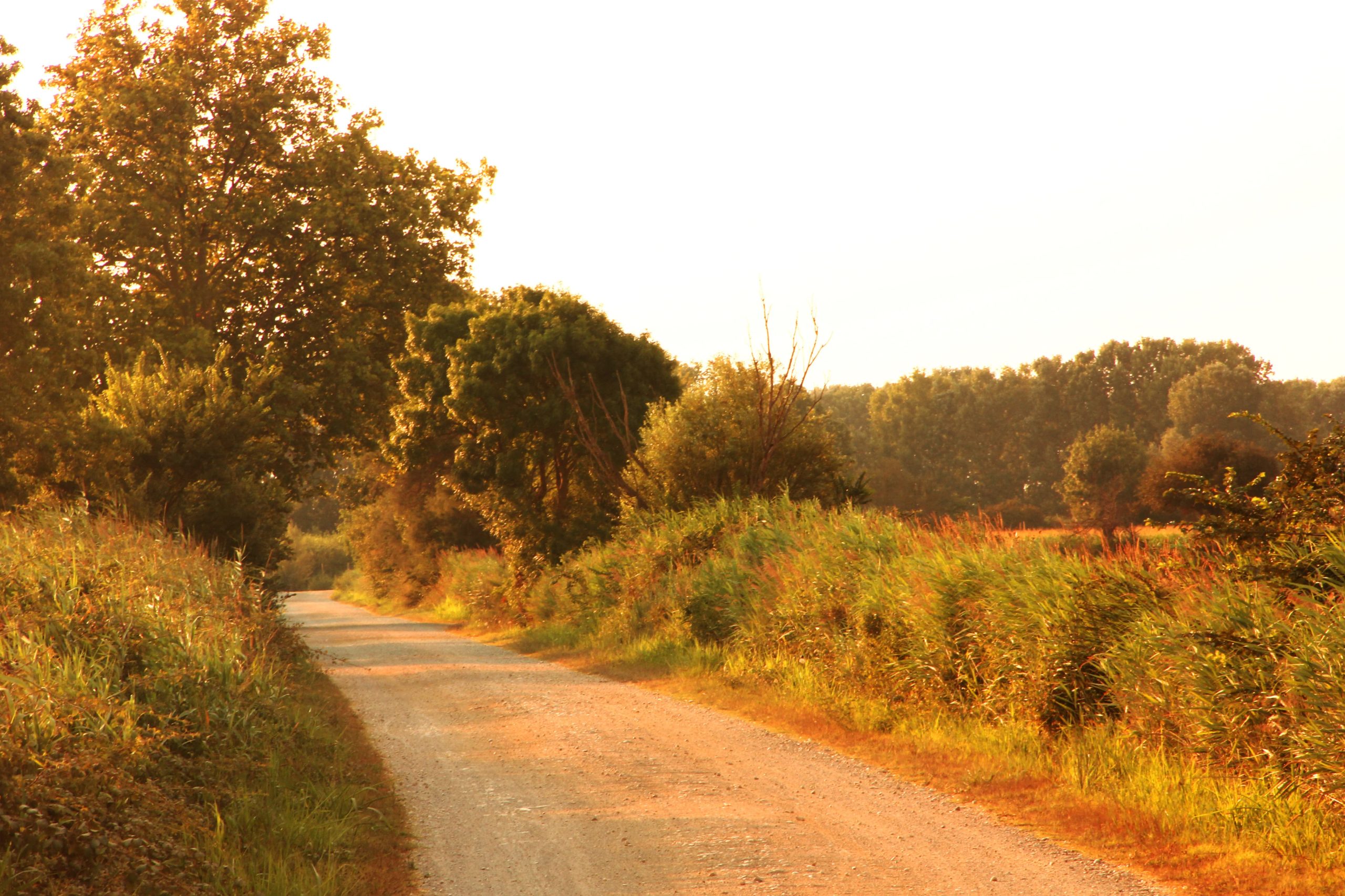 De Cinc Claus à Montiró | Au sud des Pyrénées 2025