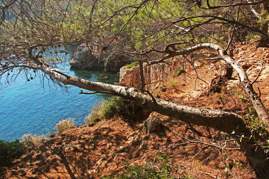 Sentier Cala Montgó | Au sud des Pyrénées 2025