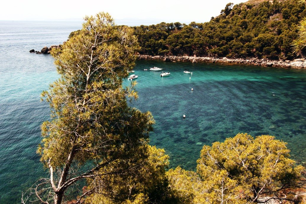 El verdor de Cala Murtra | Au sud des Pyrénées 2025