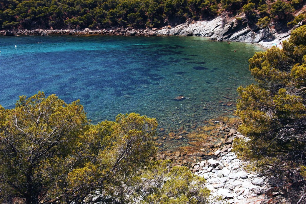 El verdor de Cala Murtra | Au sud des Pyrénées 2024