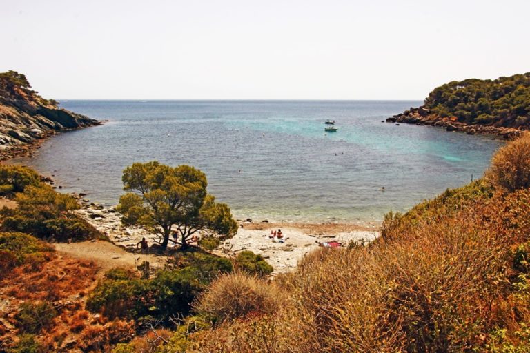 El verdor de Cala Murtra | Au sud des Pyrénées 2024